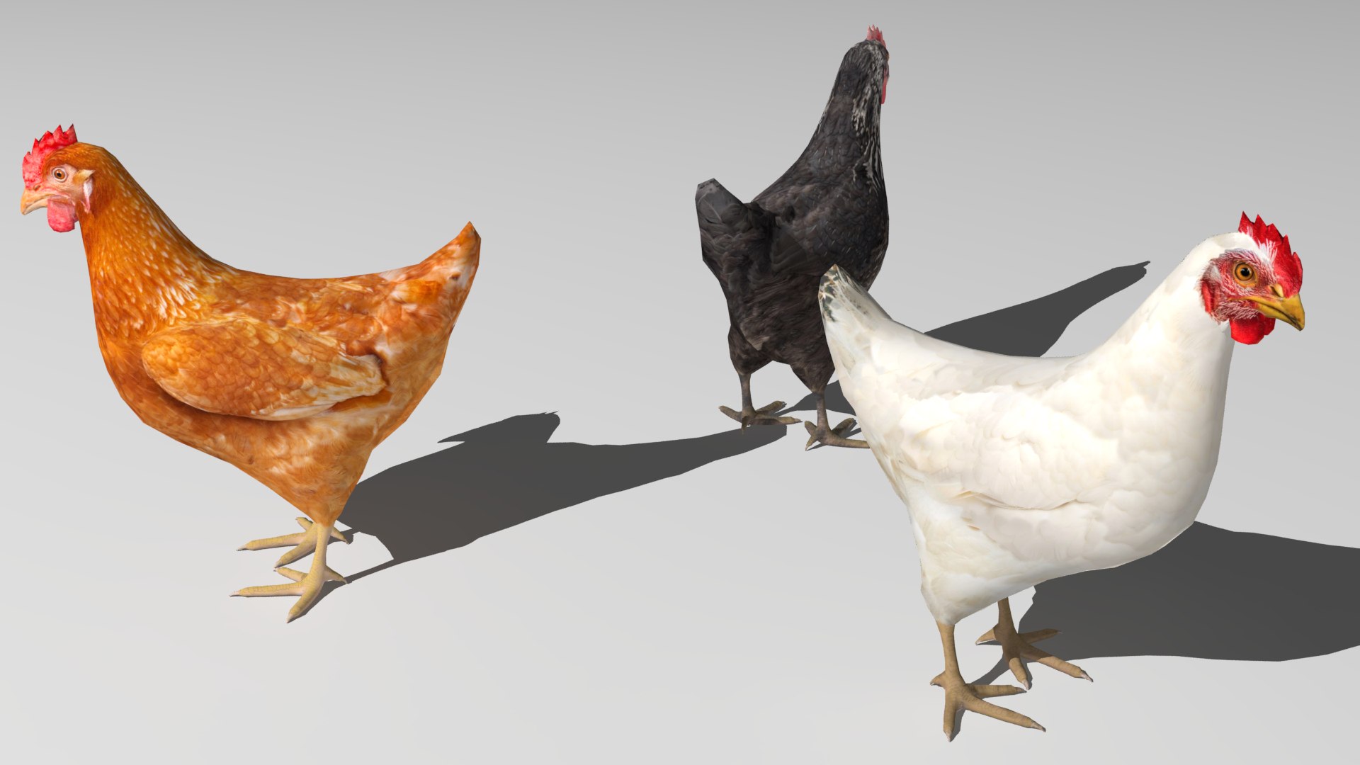 Chicken For 3d Printing 3D Model - TurboSquid 2171098