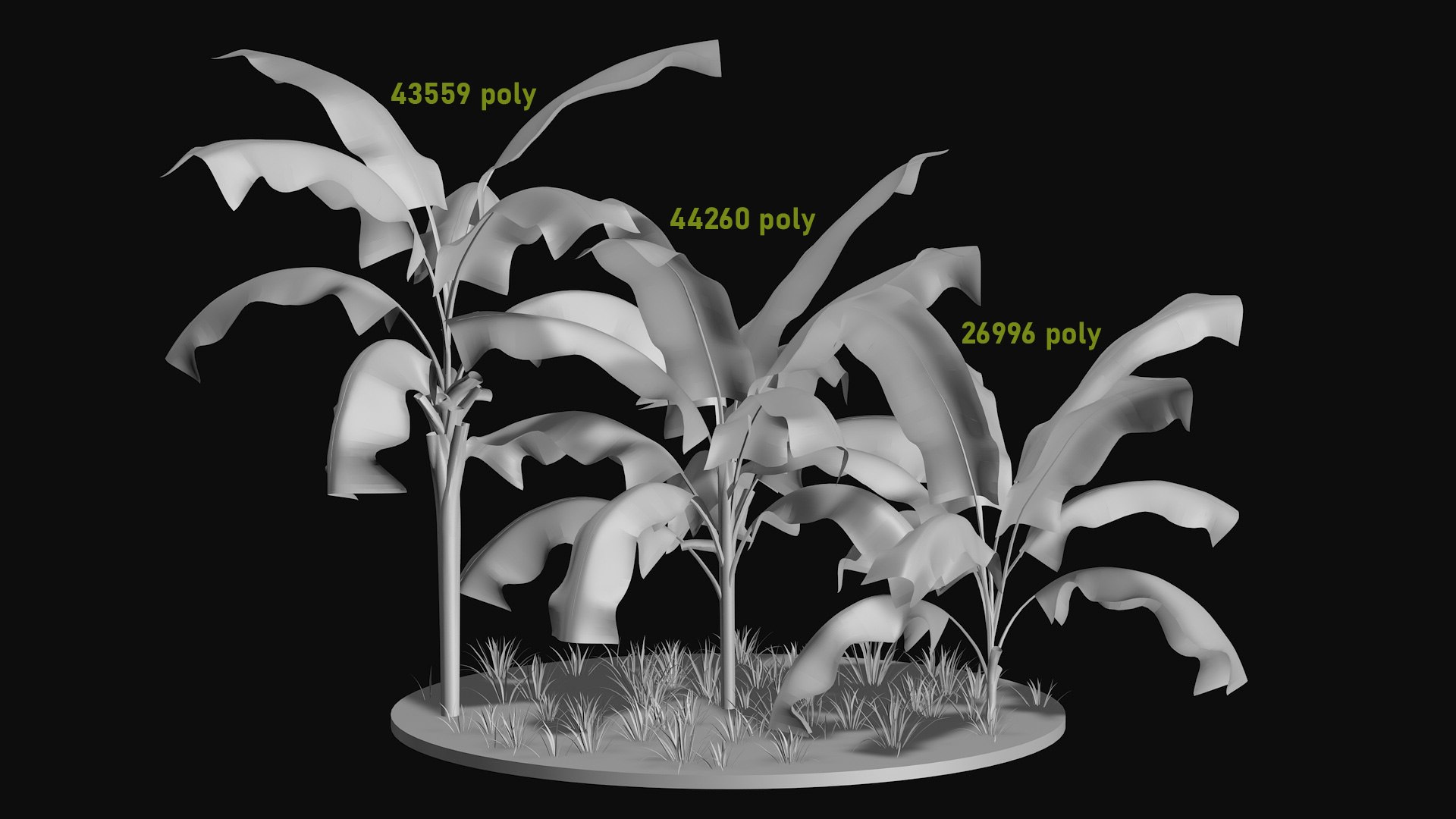 Three Palm Tree Areca Wild Tropical Jungle 3D Model - TurboSquid 2226463