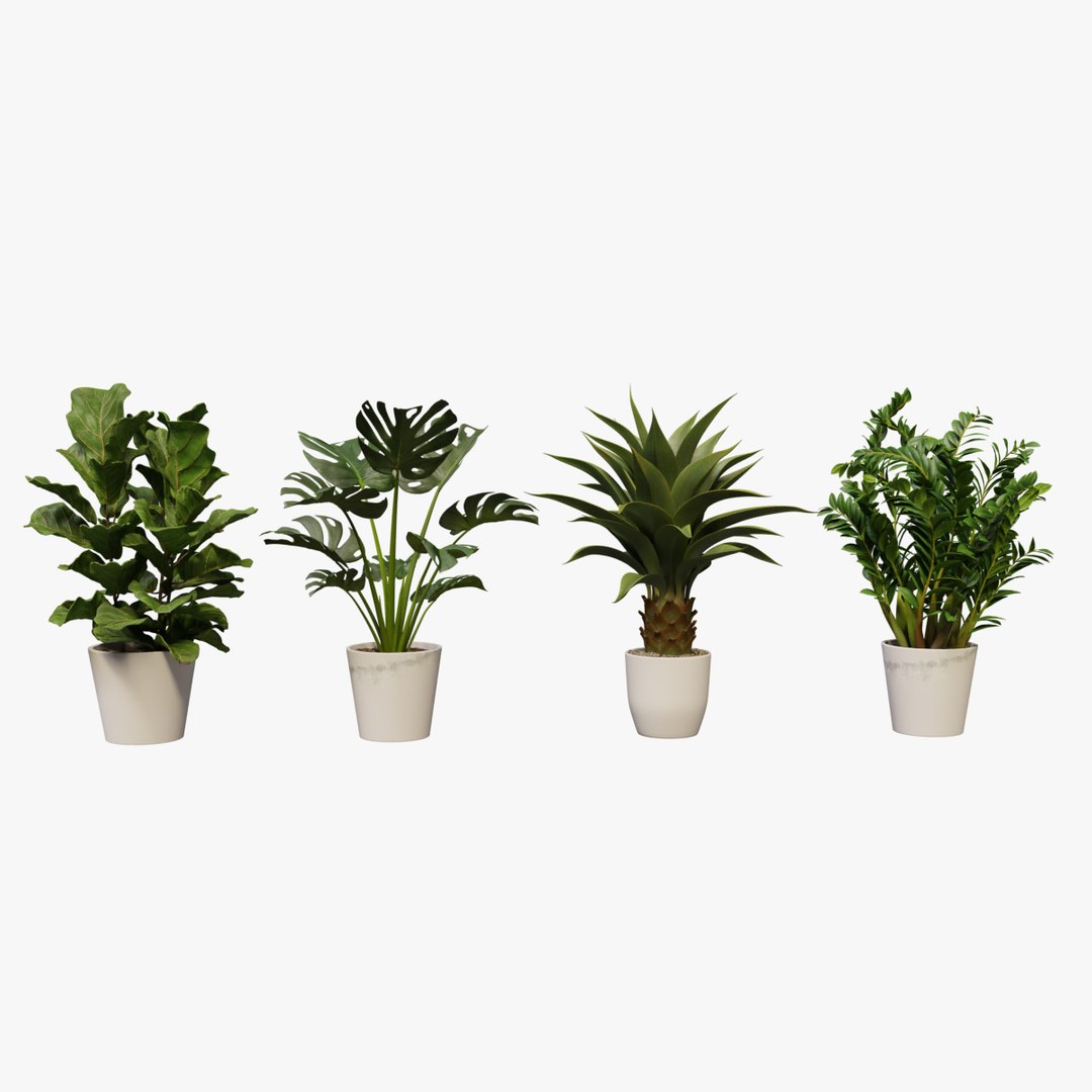 3D Plant Pack 01 Model - TurboSquid 2160046