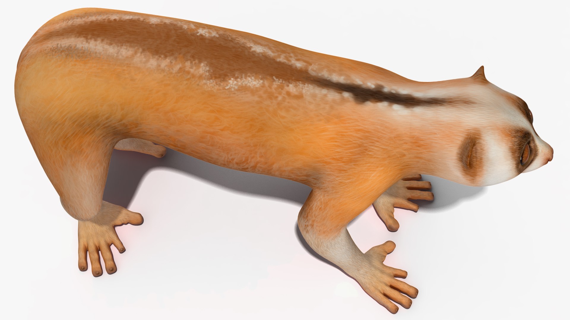 Lemur Slow Loris Rigged 3D Model - TurboSquid 2145972