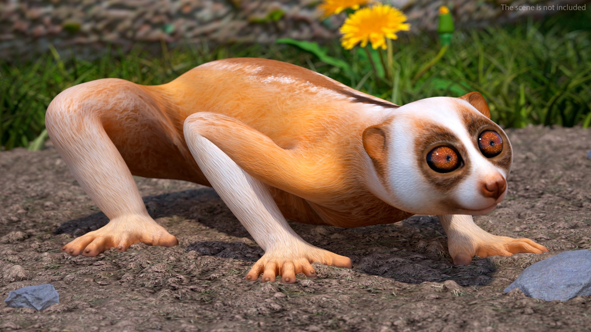Lemur Slow Loris Rigged 3D Model - TurboSquid 2145972
