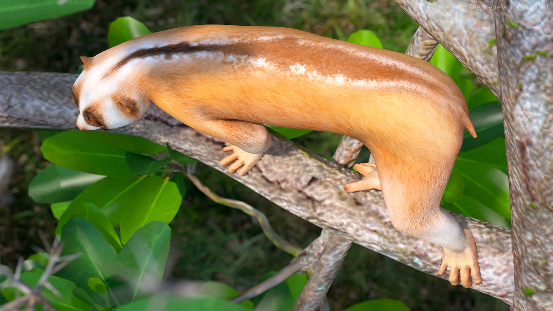 Lemur Slow Loris Rigged 3D Model - TurboSquid 2145972