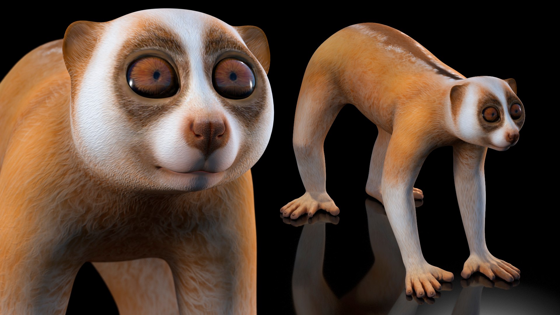 Lemur Slow Loris Rigged 3D Model - TurboSquid 2145972