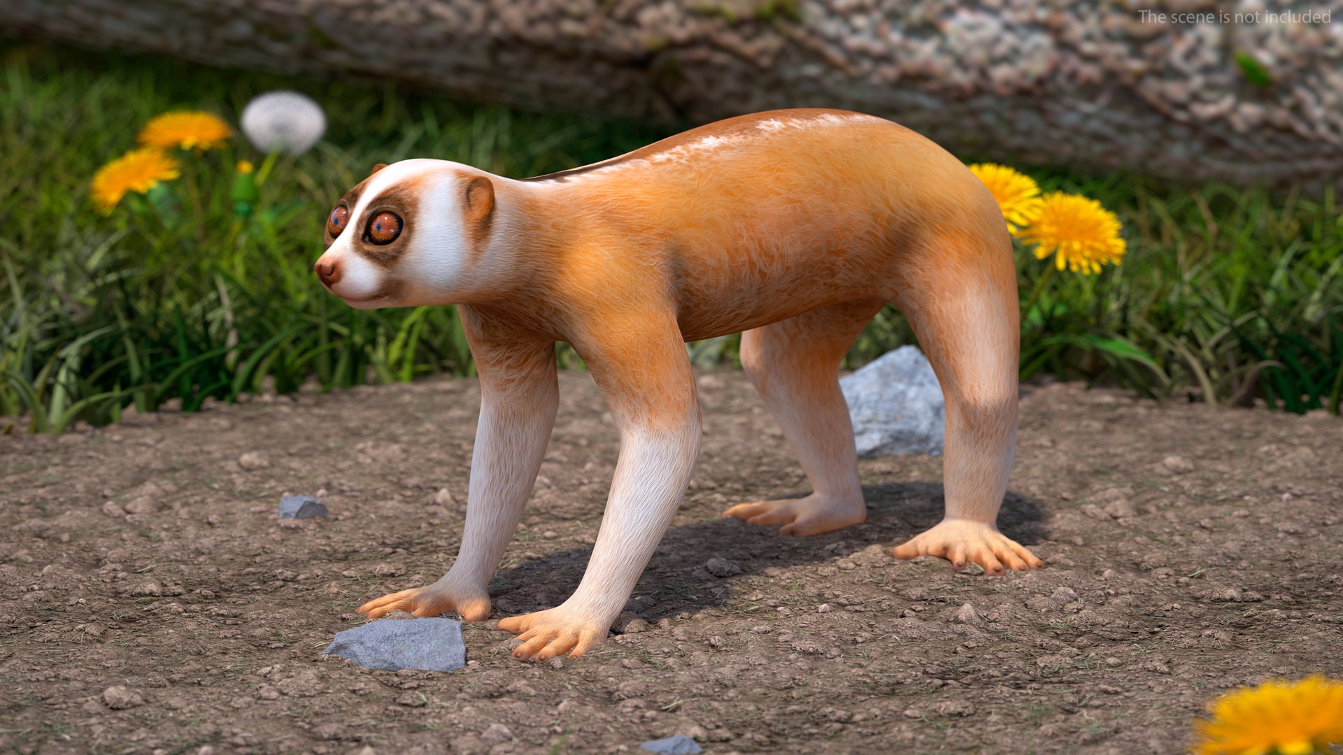 Lemur Slow Loris Rigged 3D Model - TurboSquid 2145972