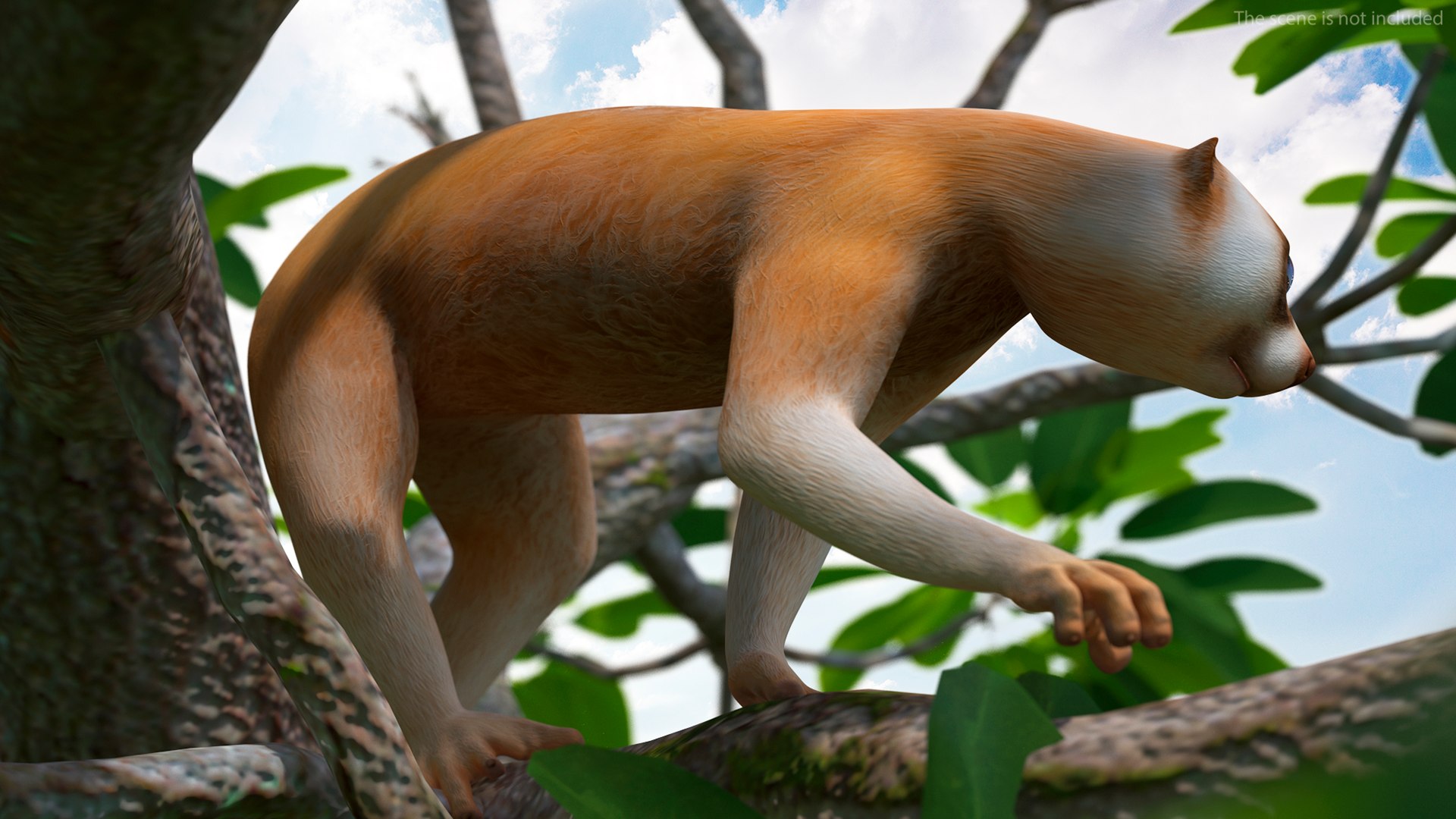 Lemur Slow Loris Rigged 3D Model - TurboSquid 2145972