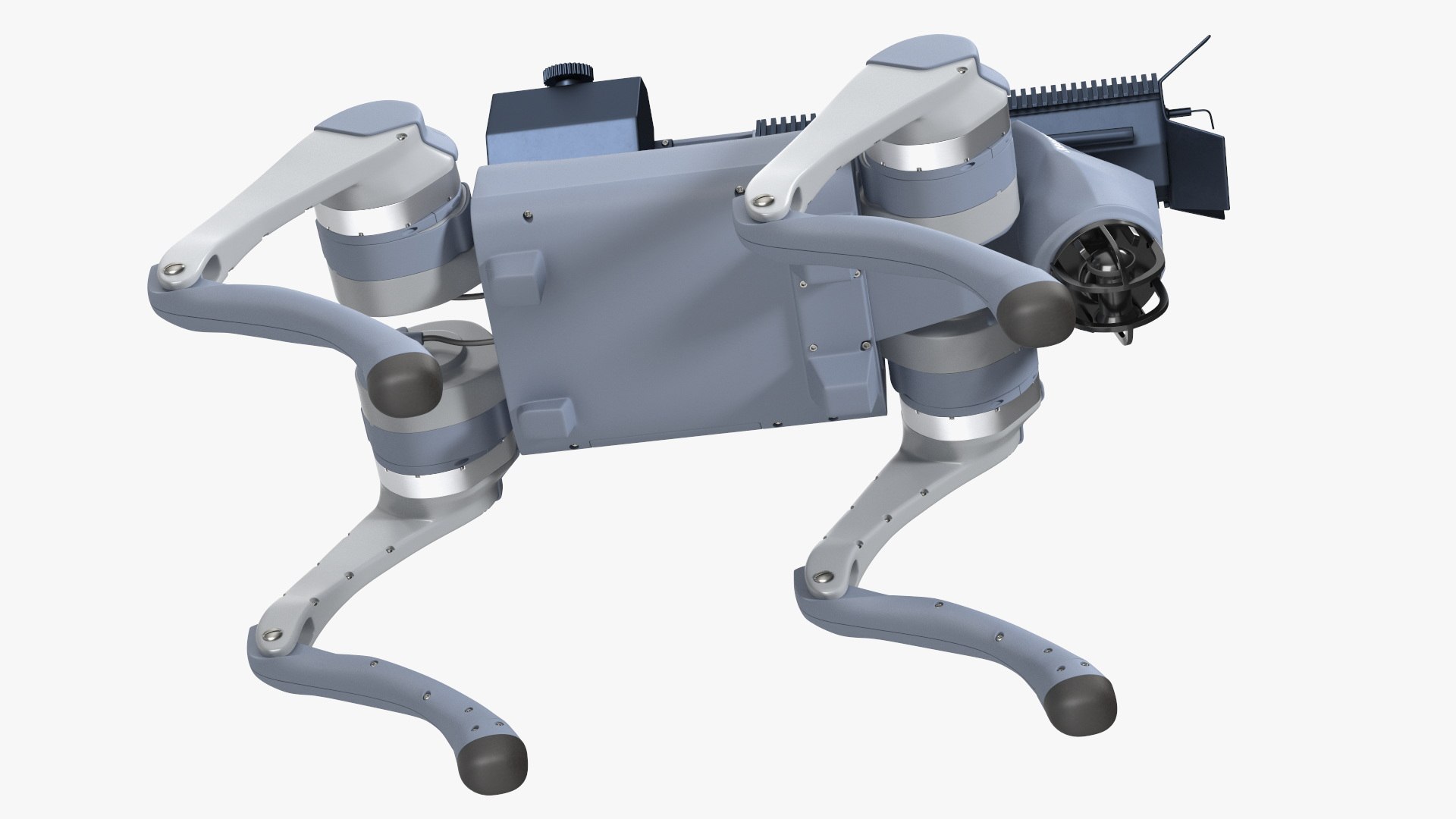 3D Thermonator Robot Dog Model - TurboSquid 2252641