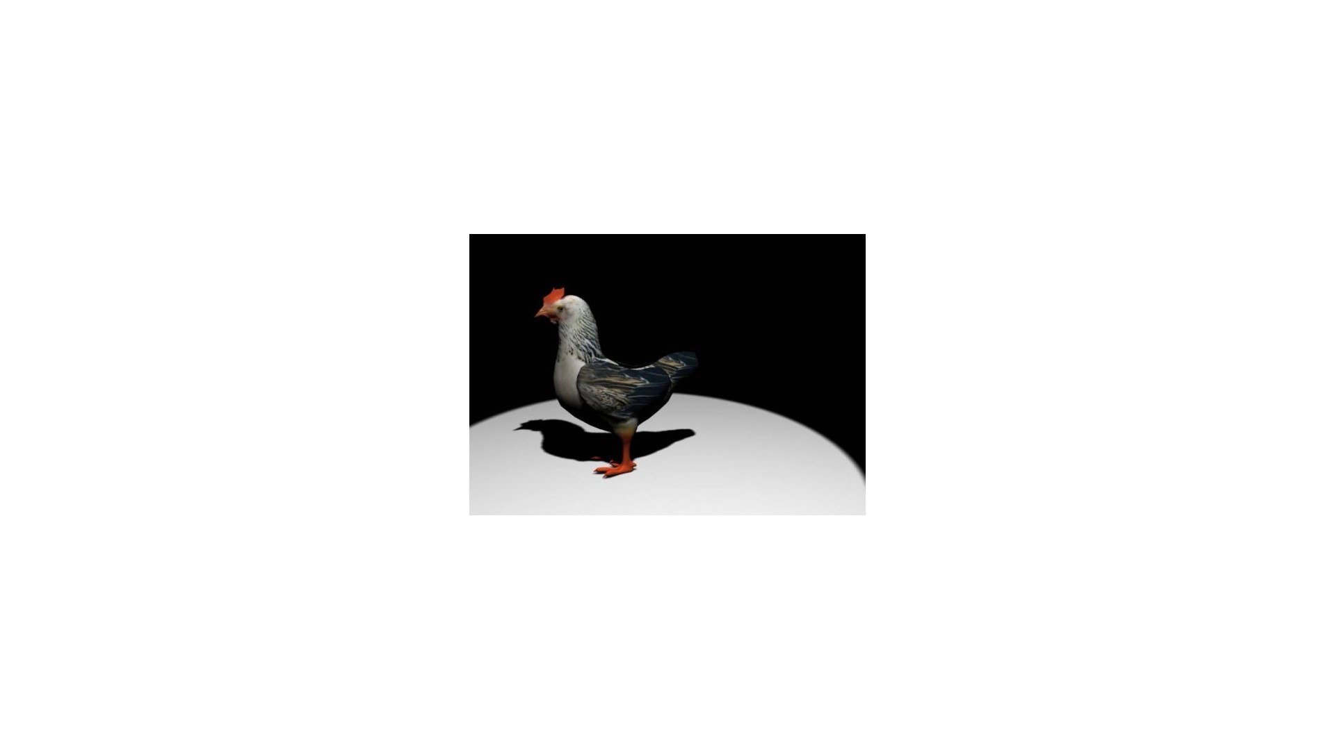 HQ Chicken 3D model - TurboSquid 2096933