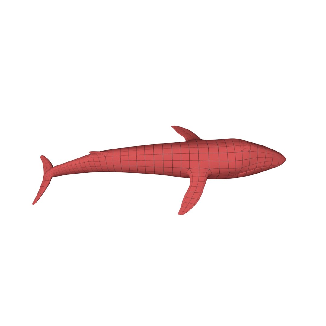 3d Model Base Mesh Blue Whale