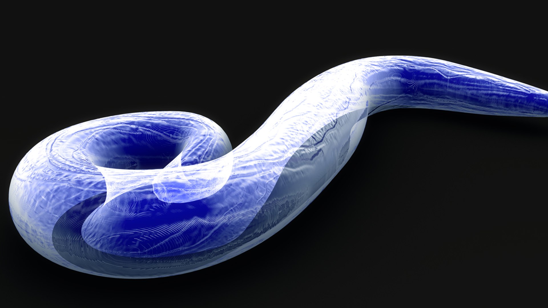 Plasmodium Falciparum 3d Obj