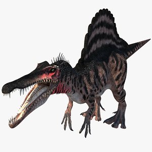 Spinosaurus 3D Models for Download | TurboSquid