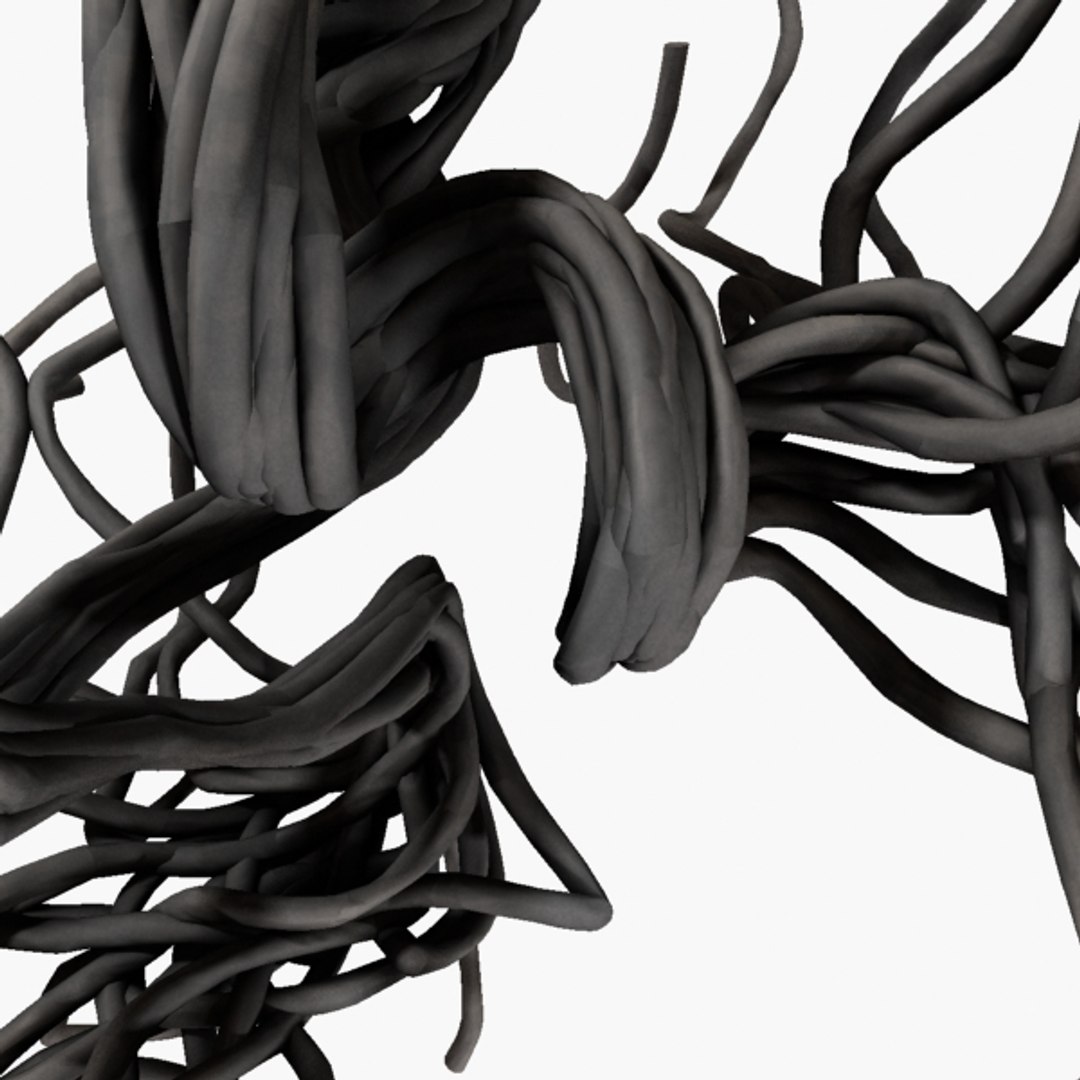 Elastin Protein Body 3d Model