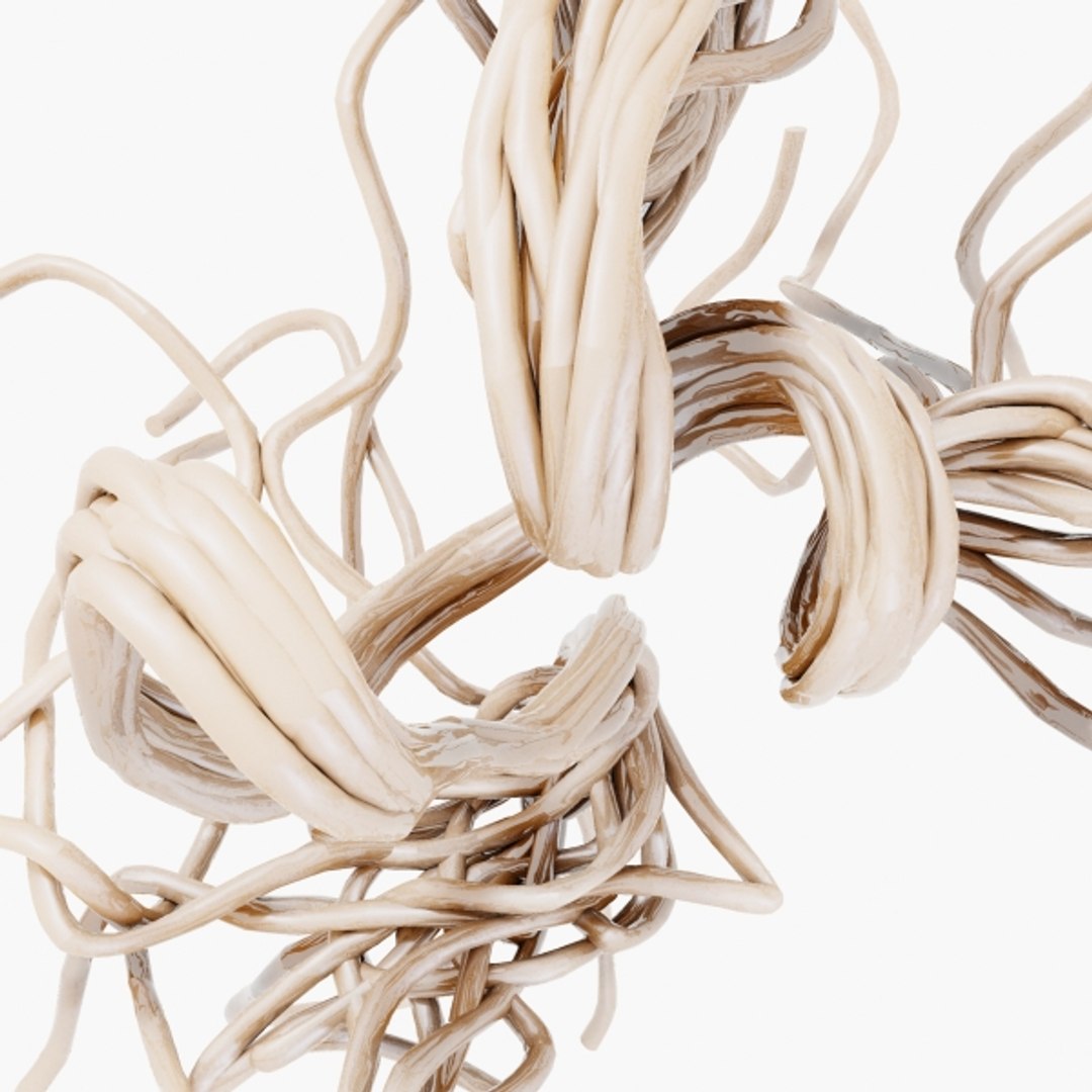 Elastin Protein Body 3d Model