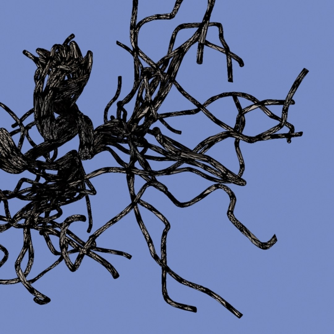Elastin Protein Body 3d Model