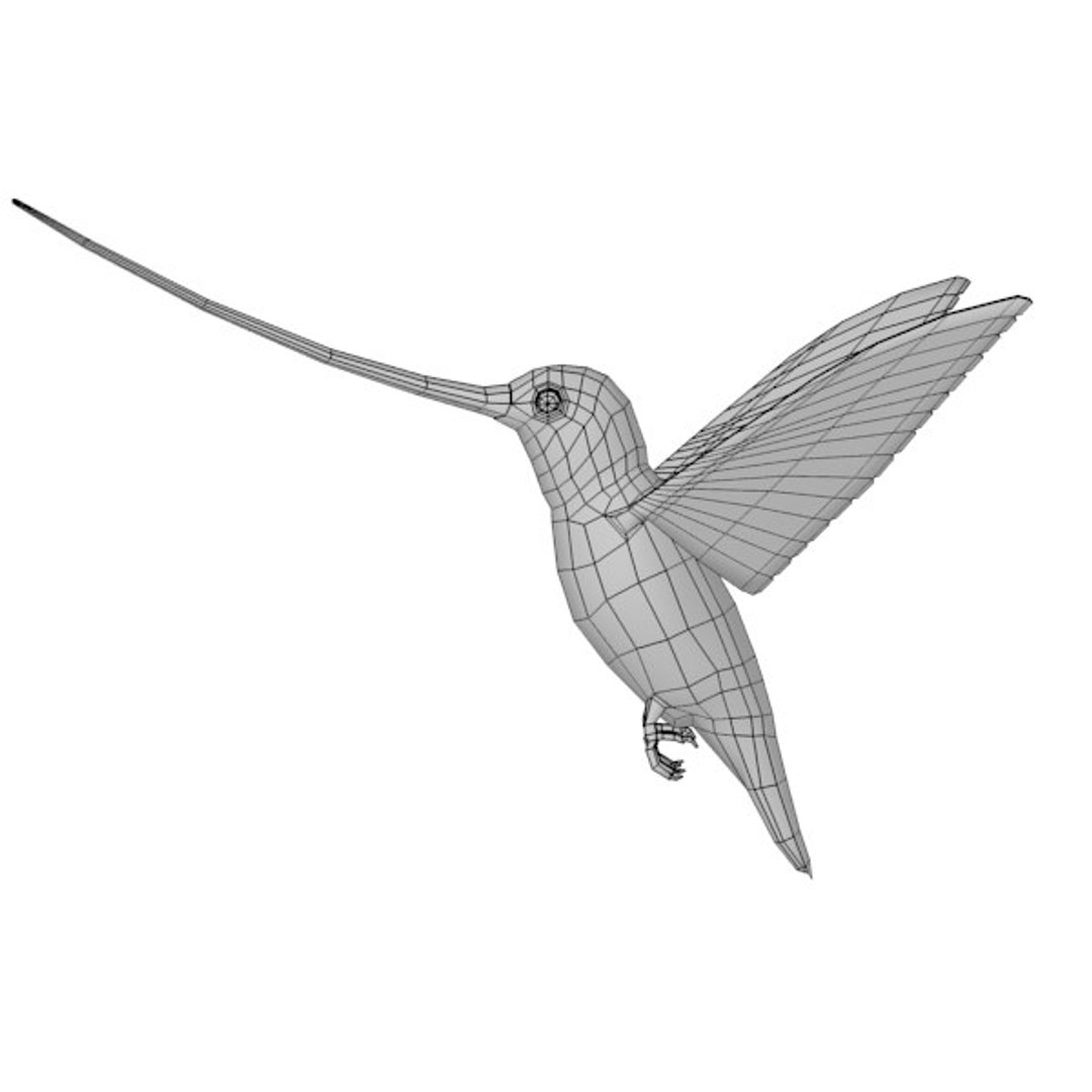 3d Colibri Bird Rigged