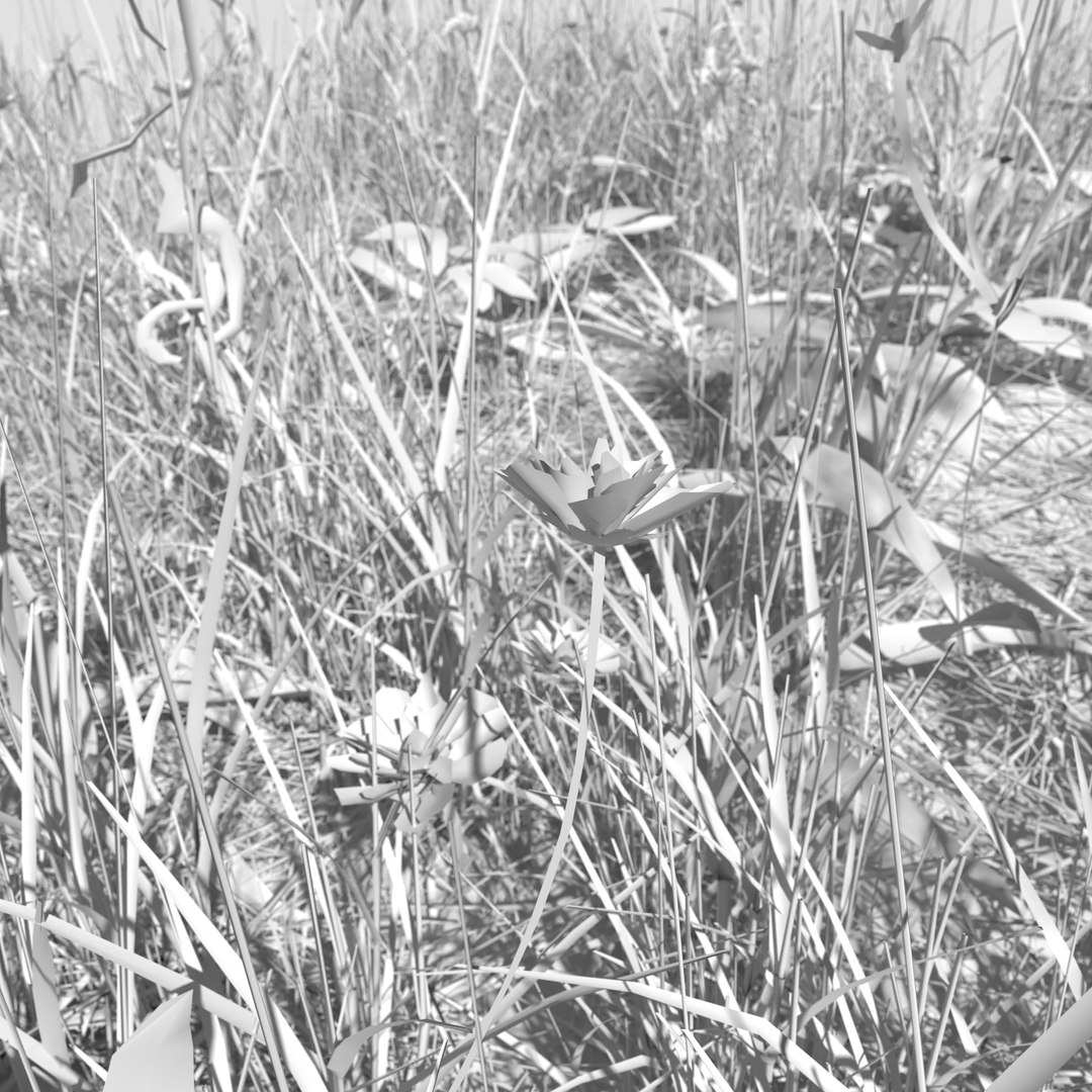 Field Scabious 3D Model - TurboSquid 1673590