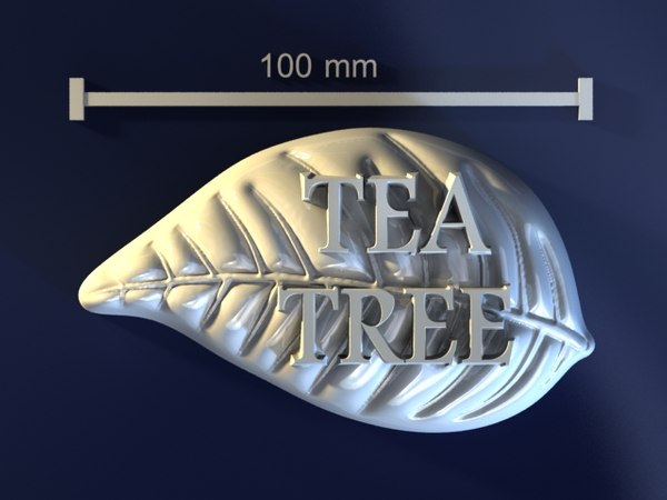 tea tree 3d obj
