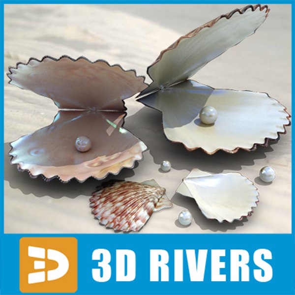 Pearl In Shell 3D Models for Download | TurboSquid