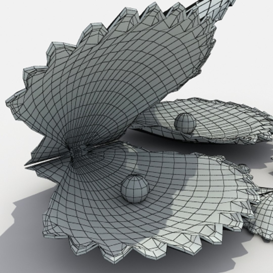 3d Model Pearl Seashell Sea