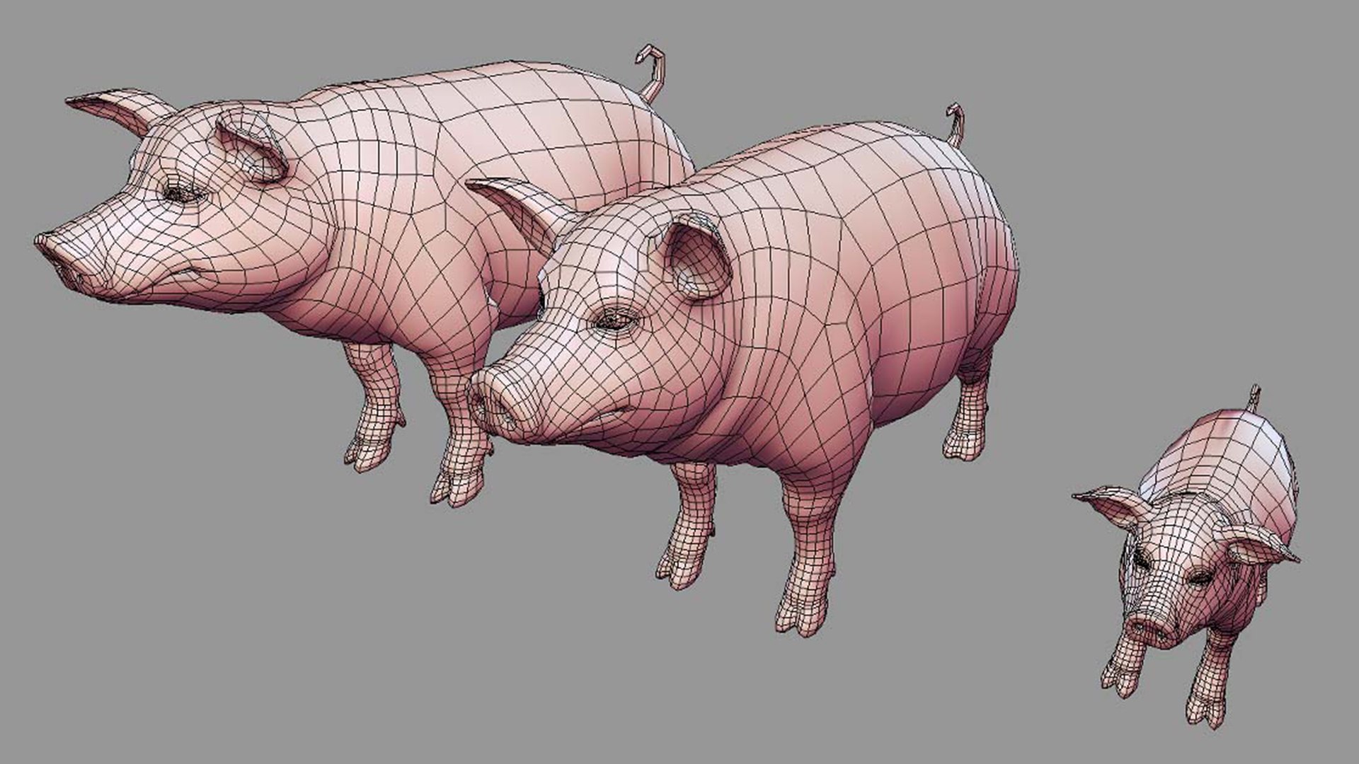 3D Pig Family - TurboSquid 2238252