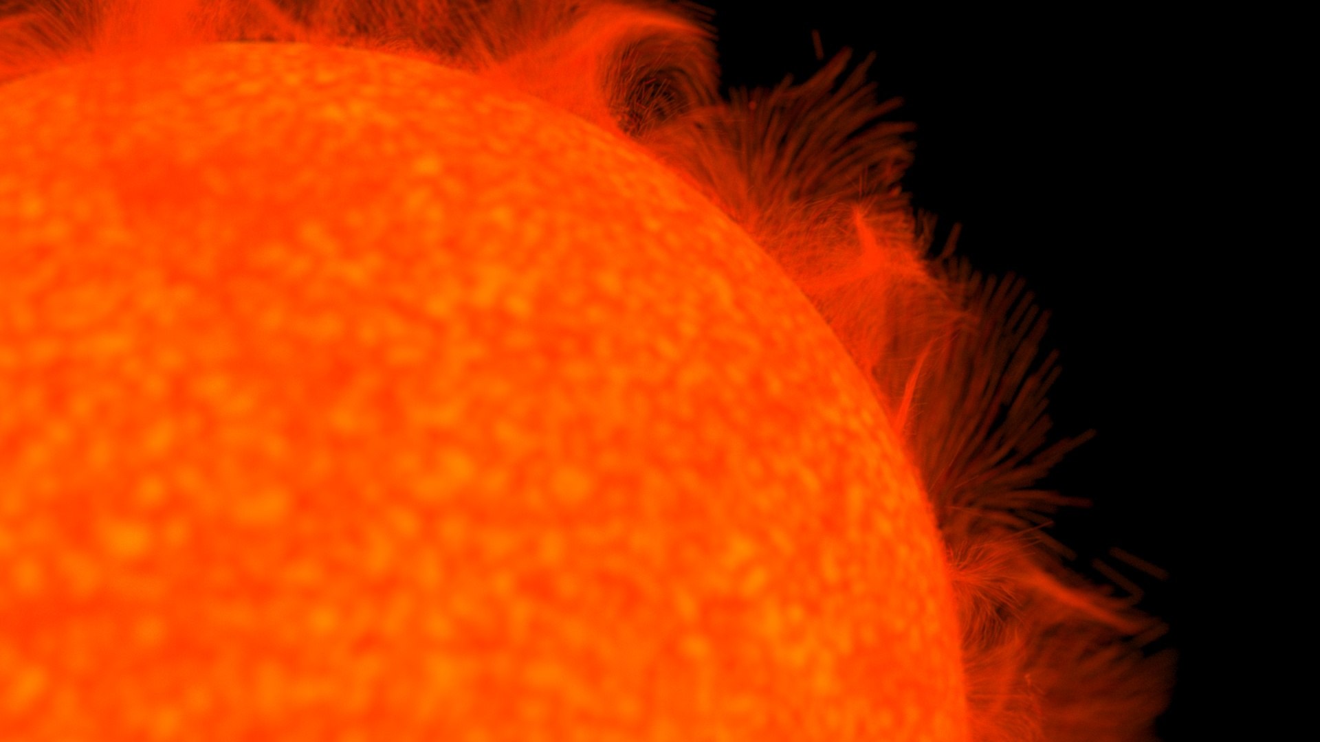 Sun 3D Model - TurboSquid 1766874