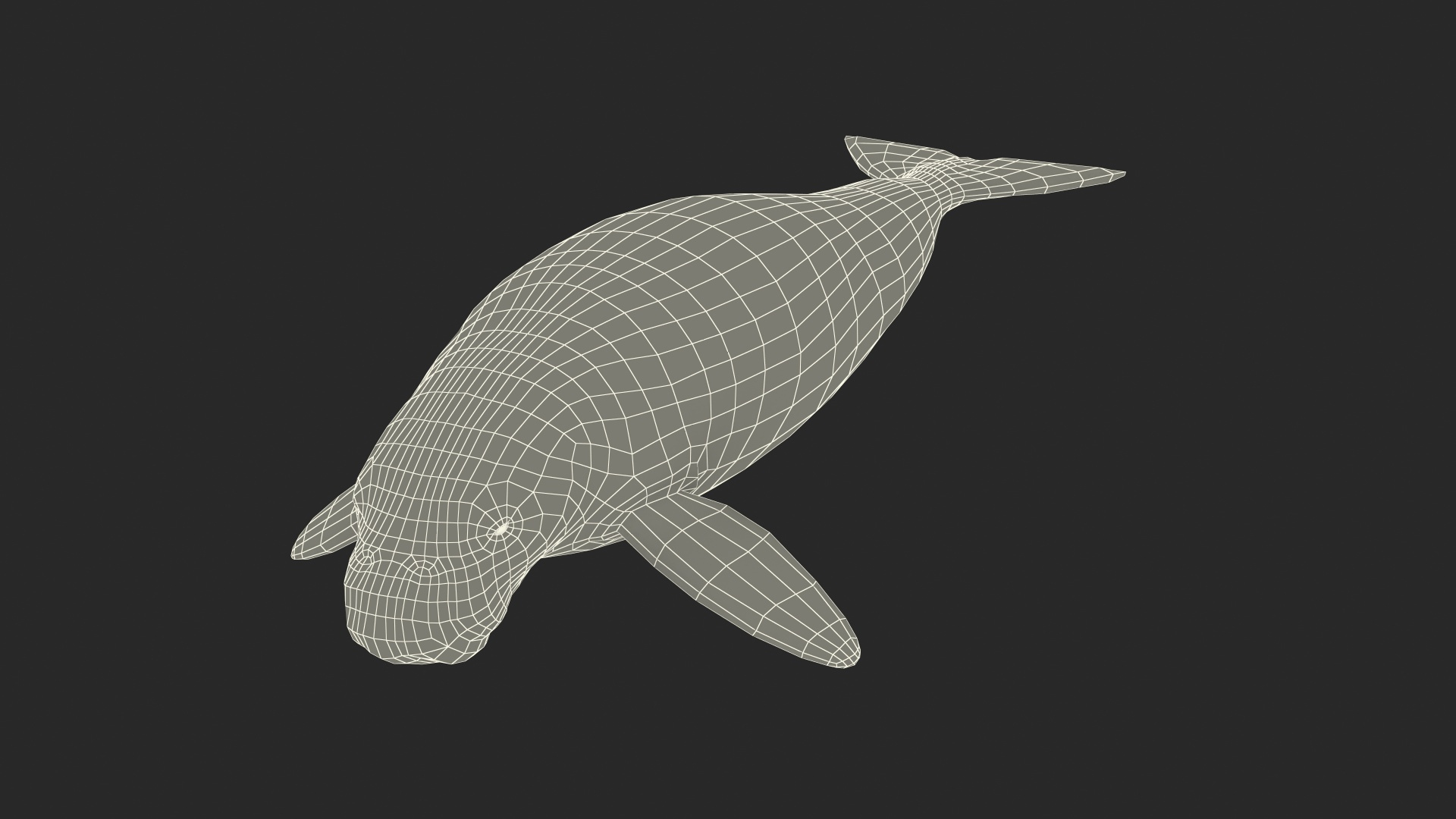 3D Model Dugong Rigged - TurboSquid 1527941