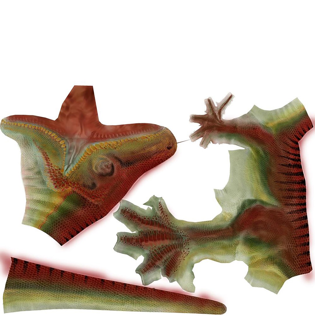 Caseosaurus Dinosaur Triassic Animal Model - TurboSquid 2332189