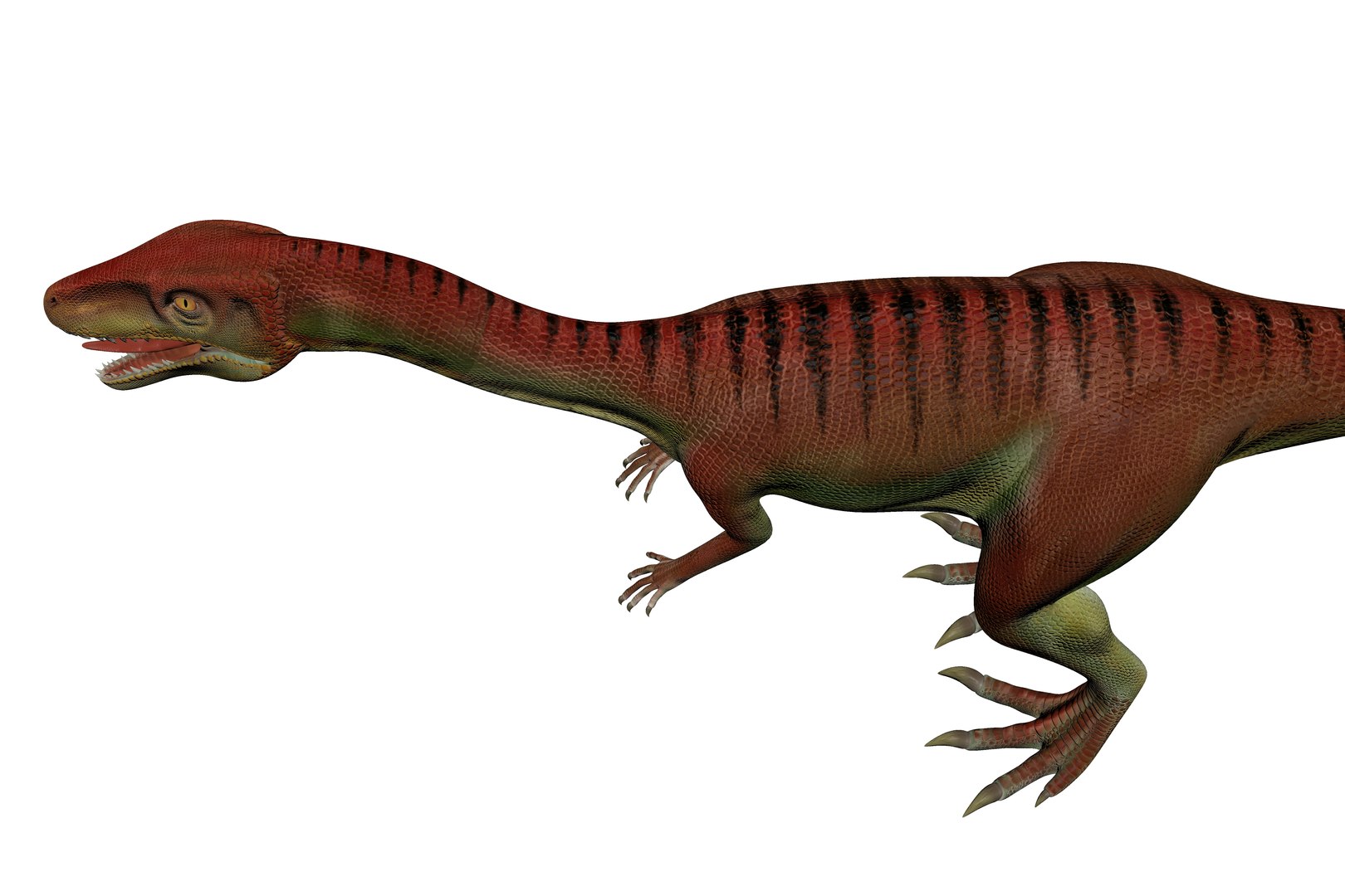 Caseosaurus Dinosaur Triassic Animal Model - TurboSquid 2332189