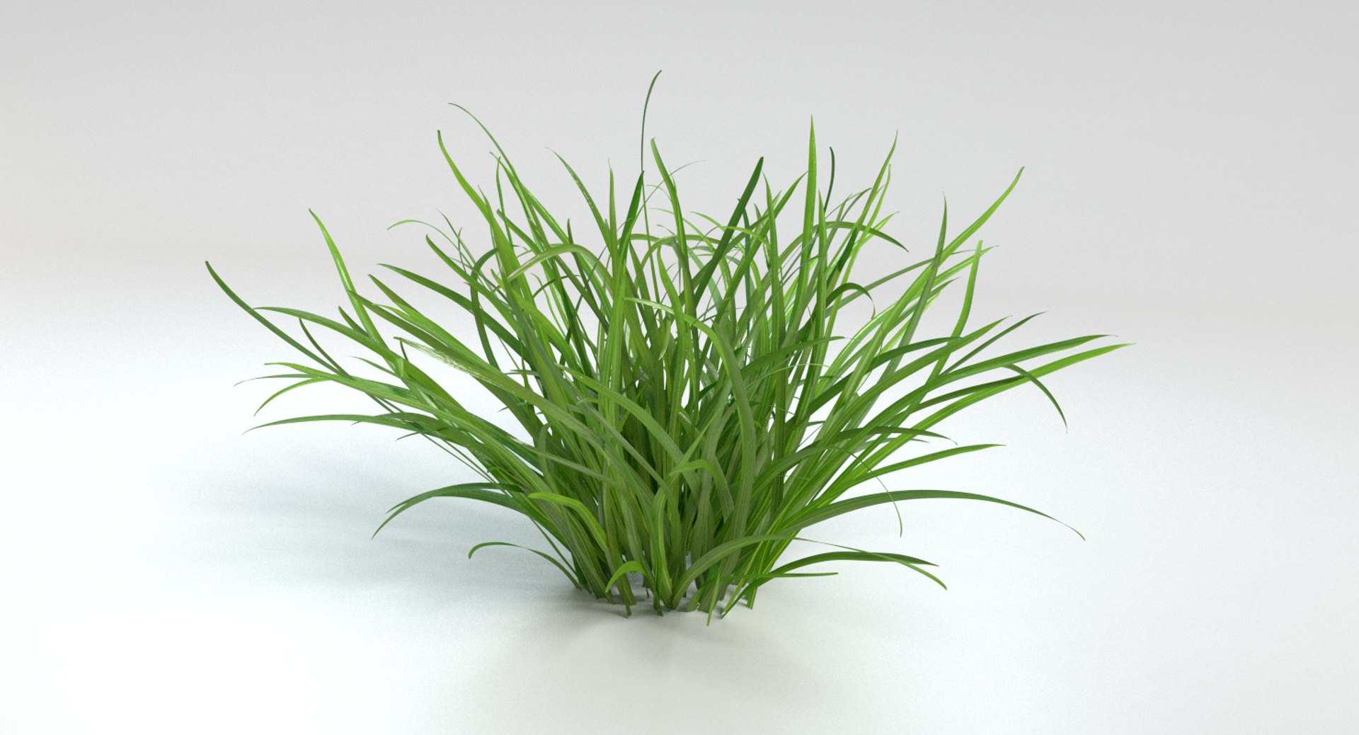 3d Flag Grass