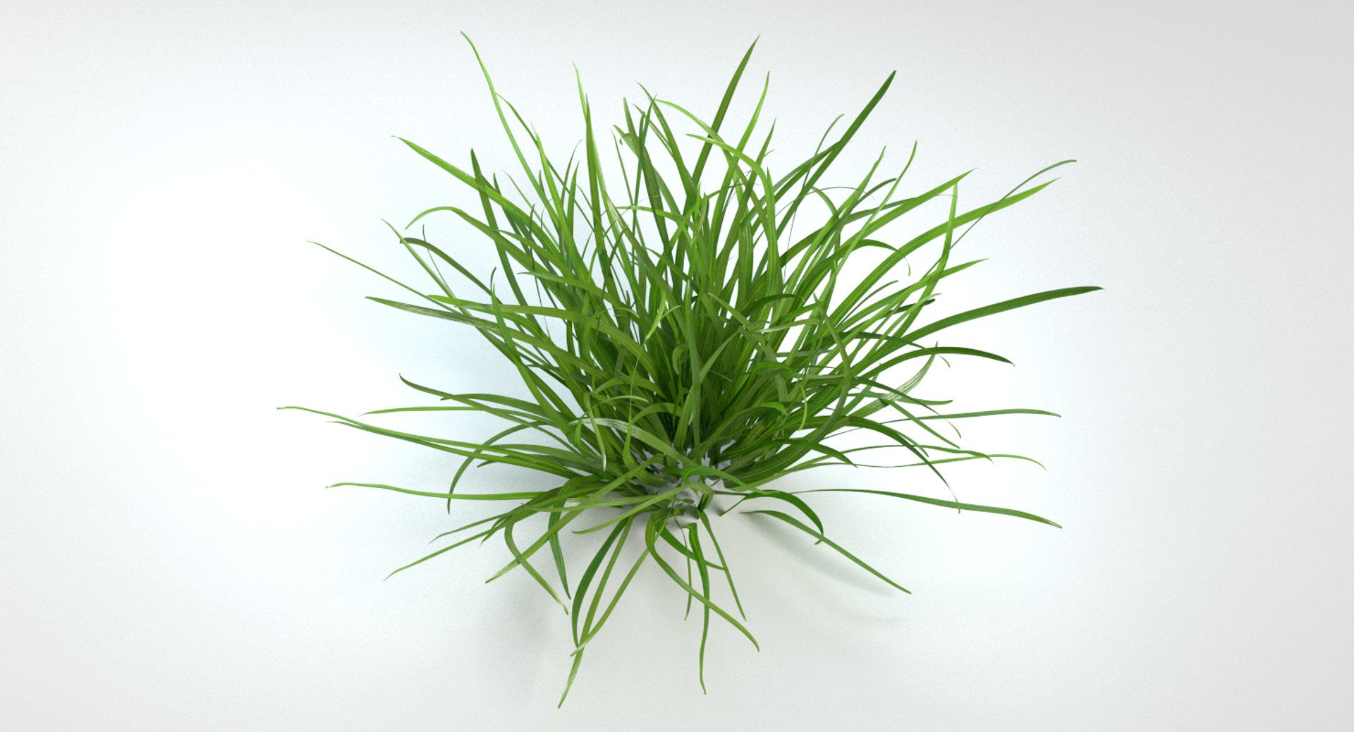 3d Flag Grass
