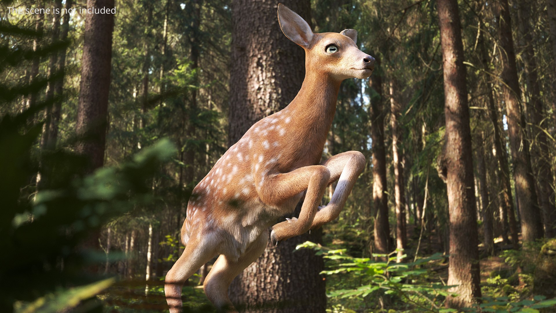White-Tailed Fawn Deer Walking Fur Animated Rigged For Maya Model ...