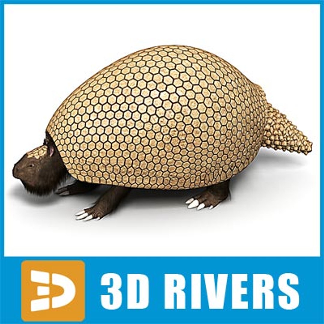 Extinct Glyptodon 3d Model