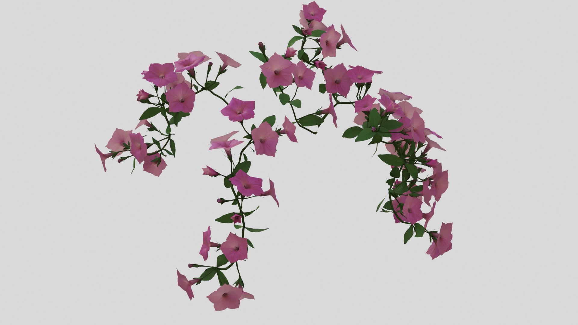 3D Hanging Flower Petunia - TurboSquid 1792109