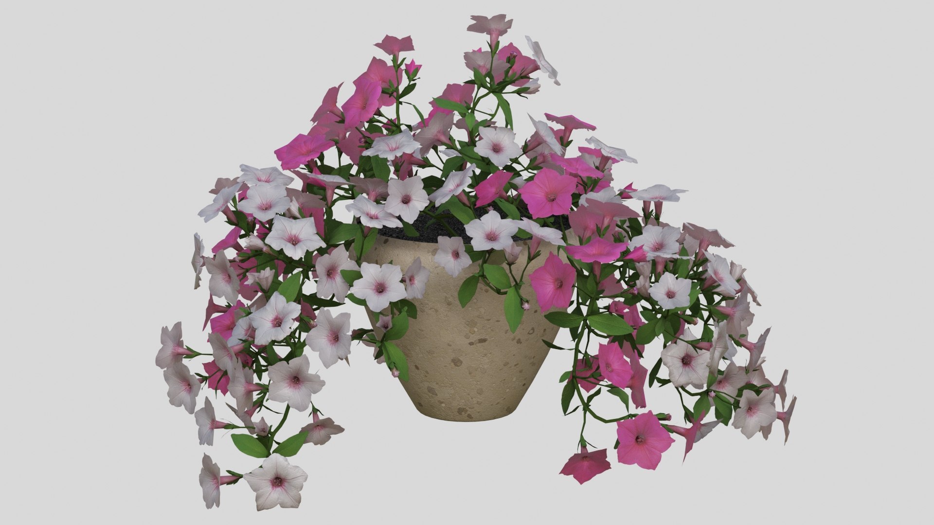 3D Hanging Flower Petunia - TurboSquid 1792109