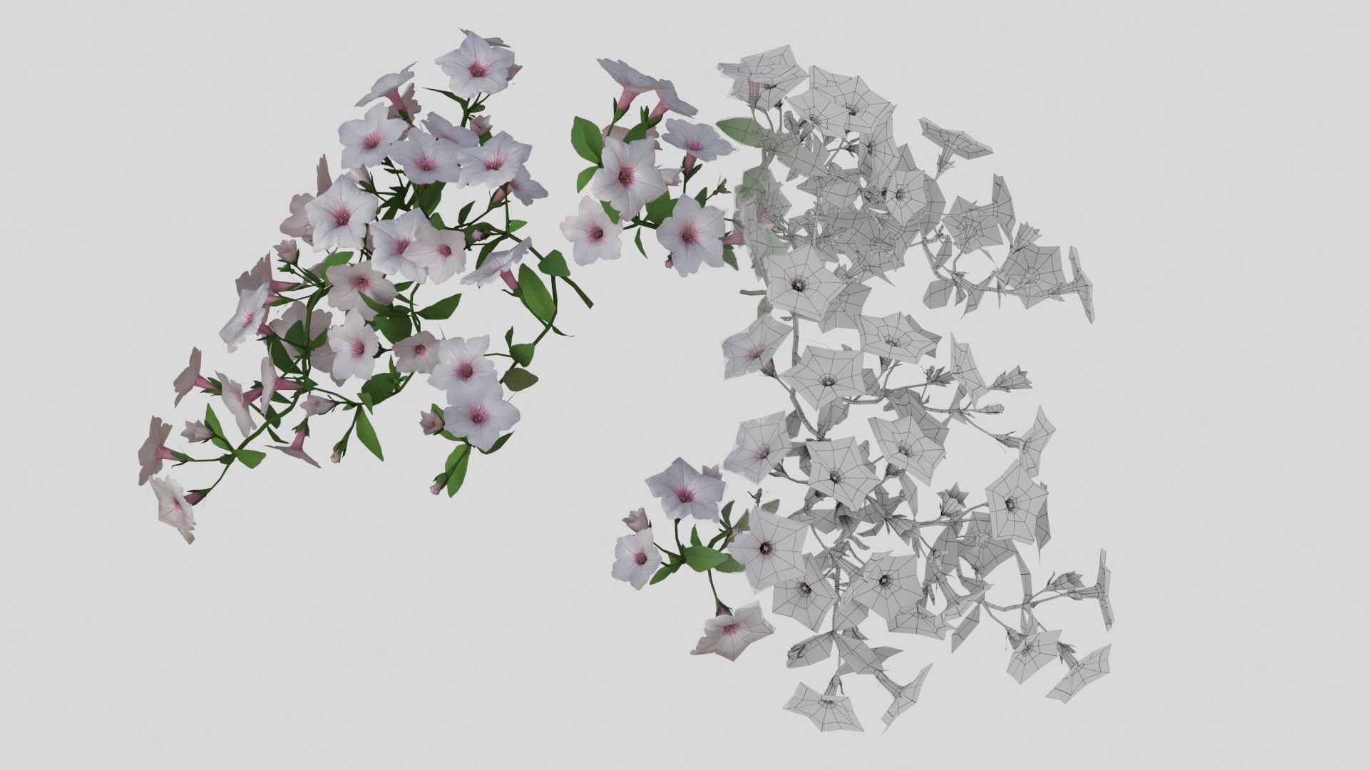3D Hanging Flower Petunia - TurboSquid 1792109