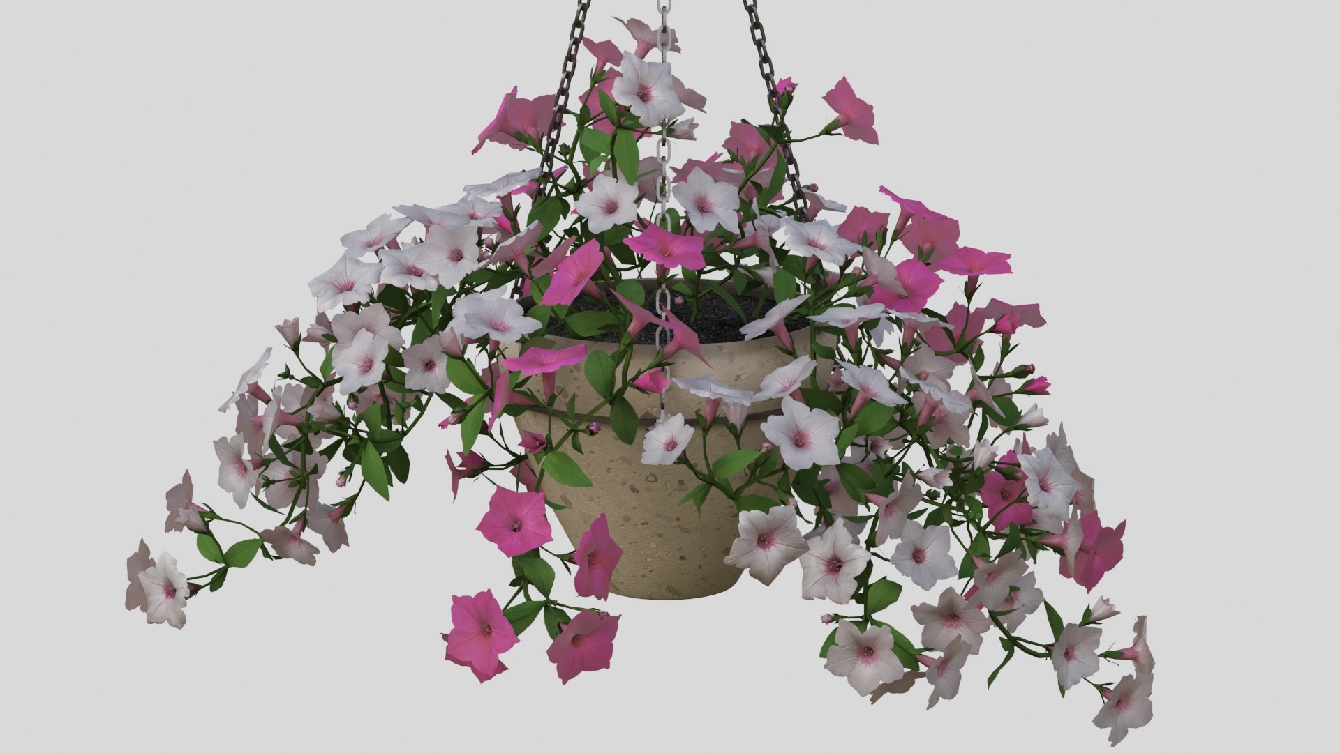 3D Hanging Flower Petunia - TurboSquid 1792109
