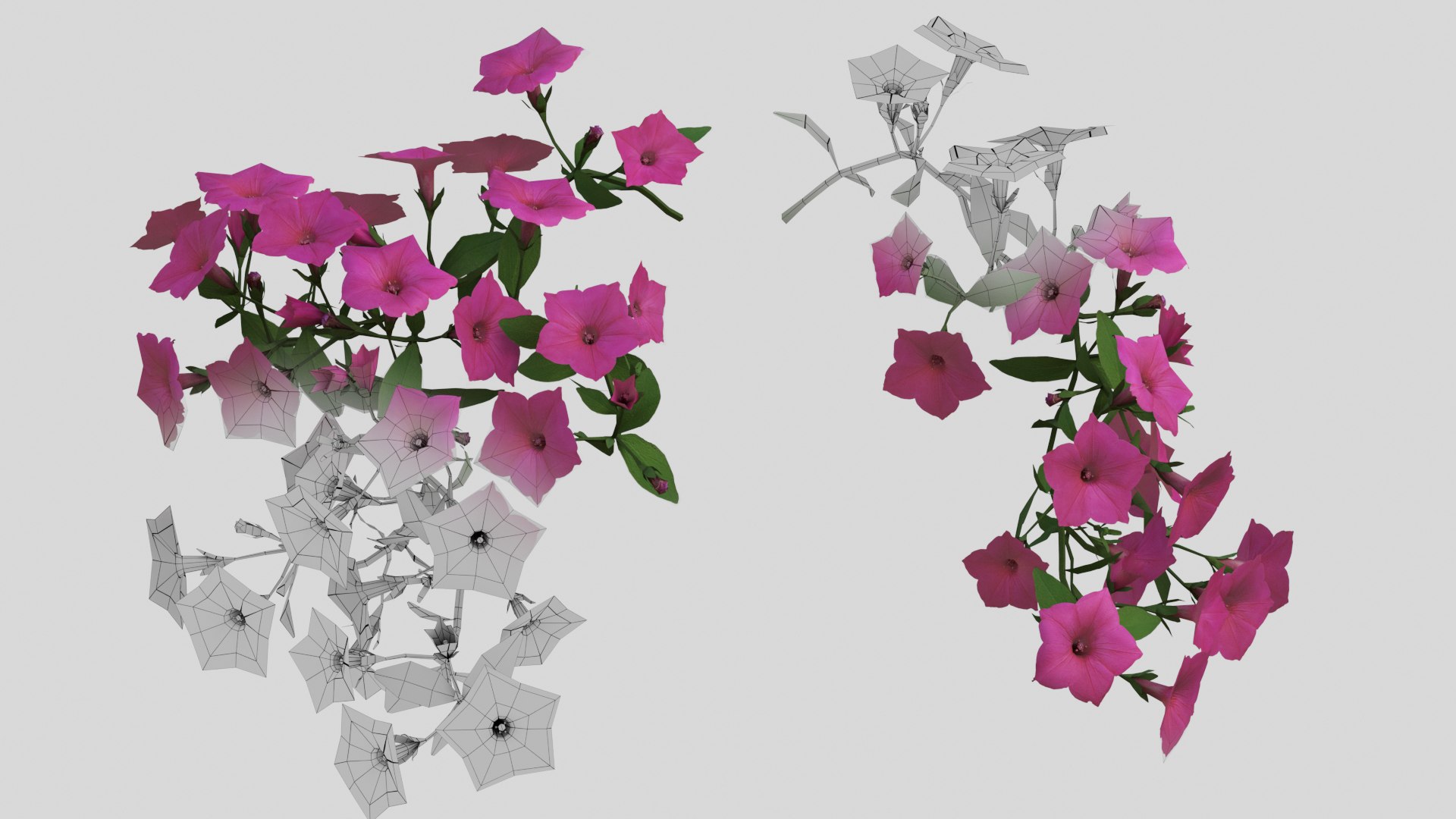 3D Hanging Flower Petunia - TurboSquid 1792109