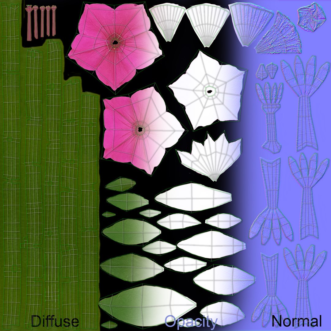 3D Hanging Flower Petunia - TurboSquid 1792109