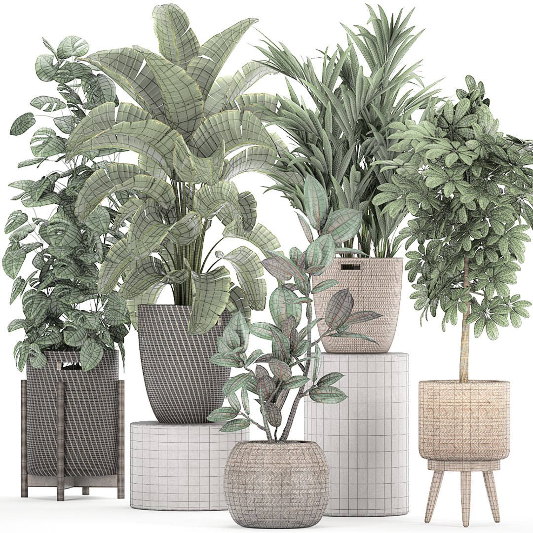 3D Ornamental Plants Rattan Baskets - TurboSquid 1658008