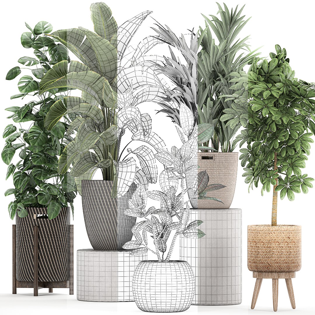 3D Ornamental Plants Rattan Baskets - TurboSquid 1658008