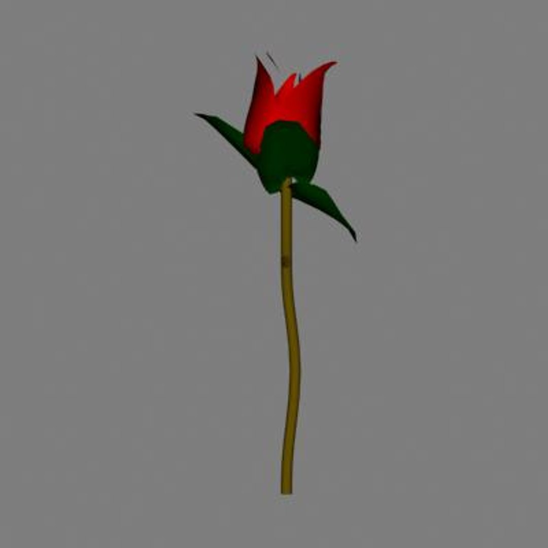 3D Model Rose Flower - TurboSquid 141496
