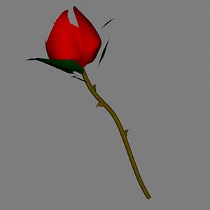 Rose DXF Models for Download | TurboSquid