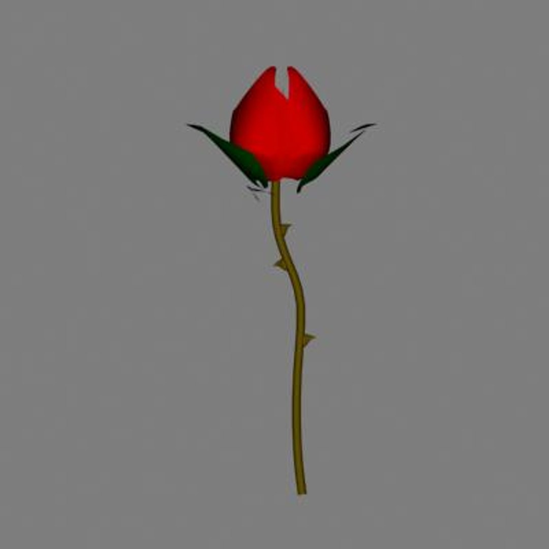 3D Model Rose Flower - TurboSquid 141496