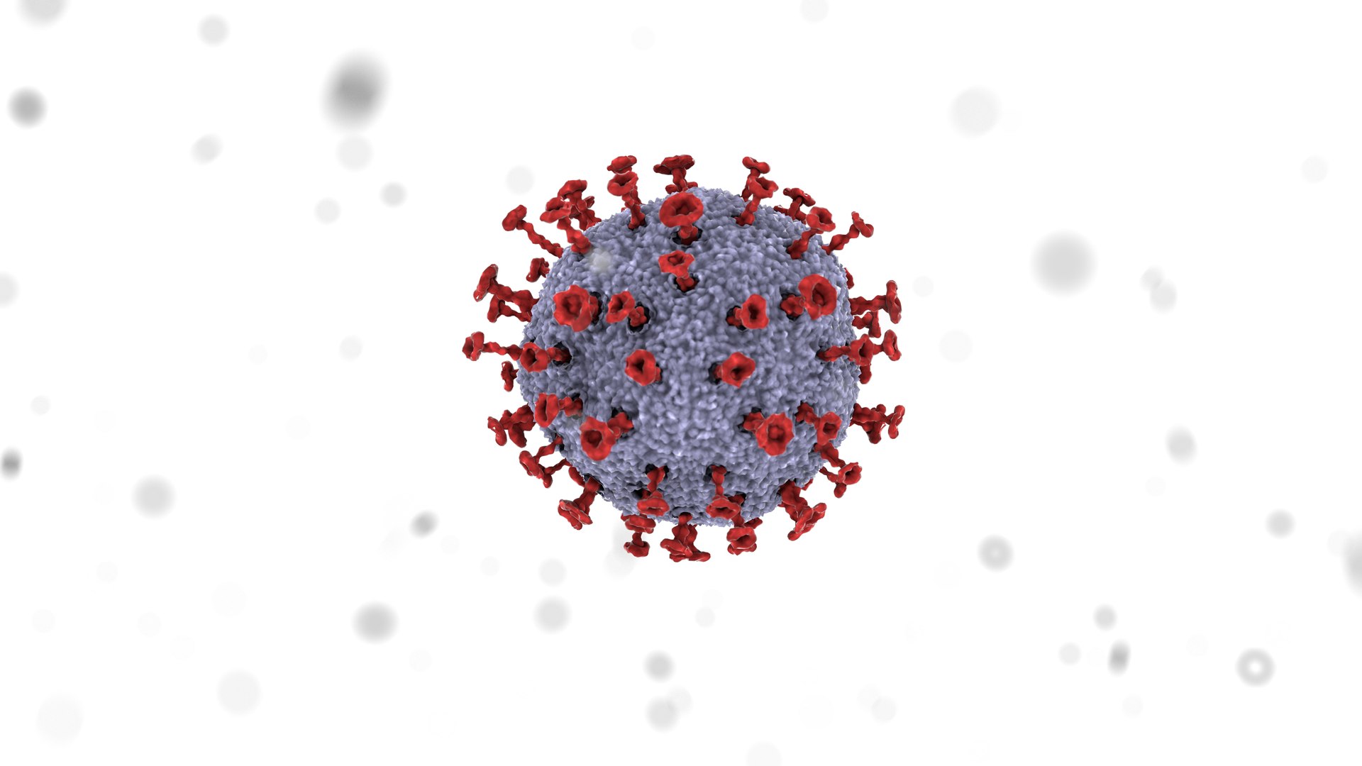 3D Corona Virus Animation - TurboSquid 1523444