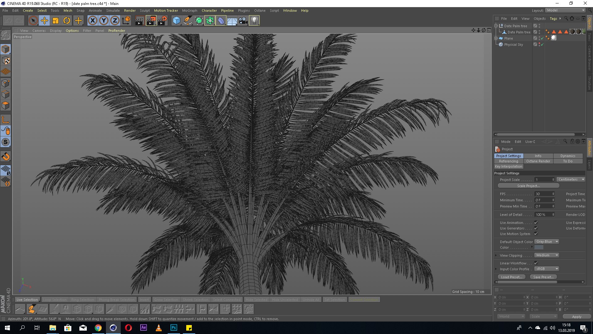3D Date Palm Tree - TurboSquid 1386782