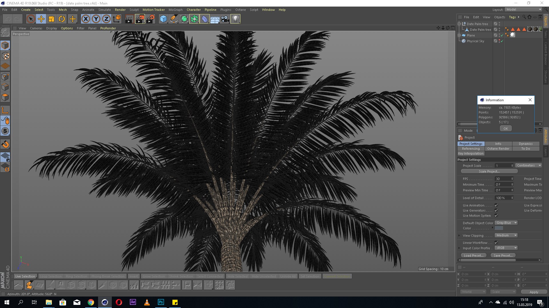 3D Date Palm Tree - TurboSquid 1386782