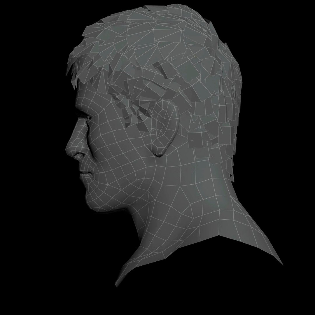 3ds Max Human Head