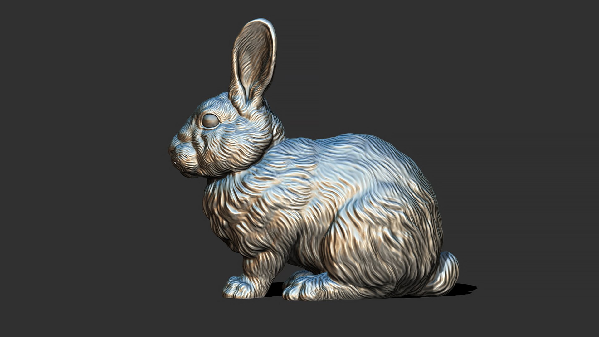 3D model Bunny - TurboSquid 1956636