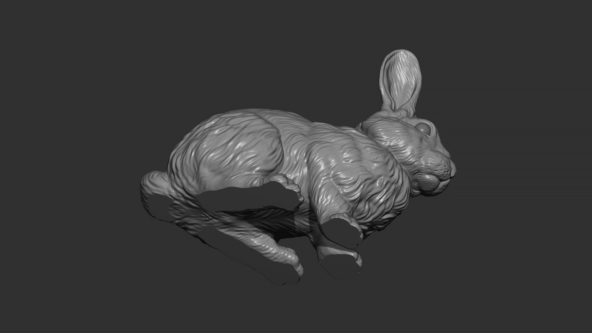 3D model Bunny - TurboSquid 1956636