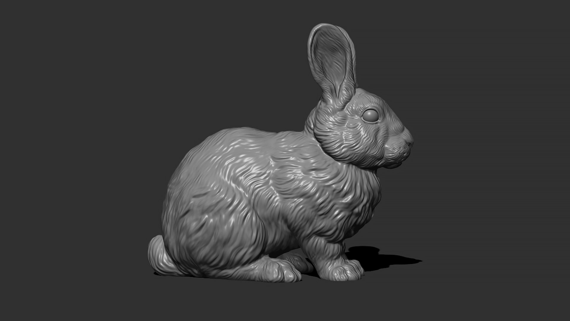 3D model Bunny - TurboSquid 1956636