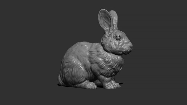 Rabbit STL Models for Download | TurboSquid